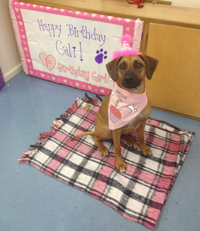 birthday-girl – The Calais School