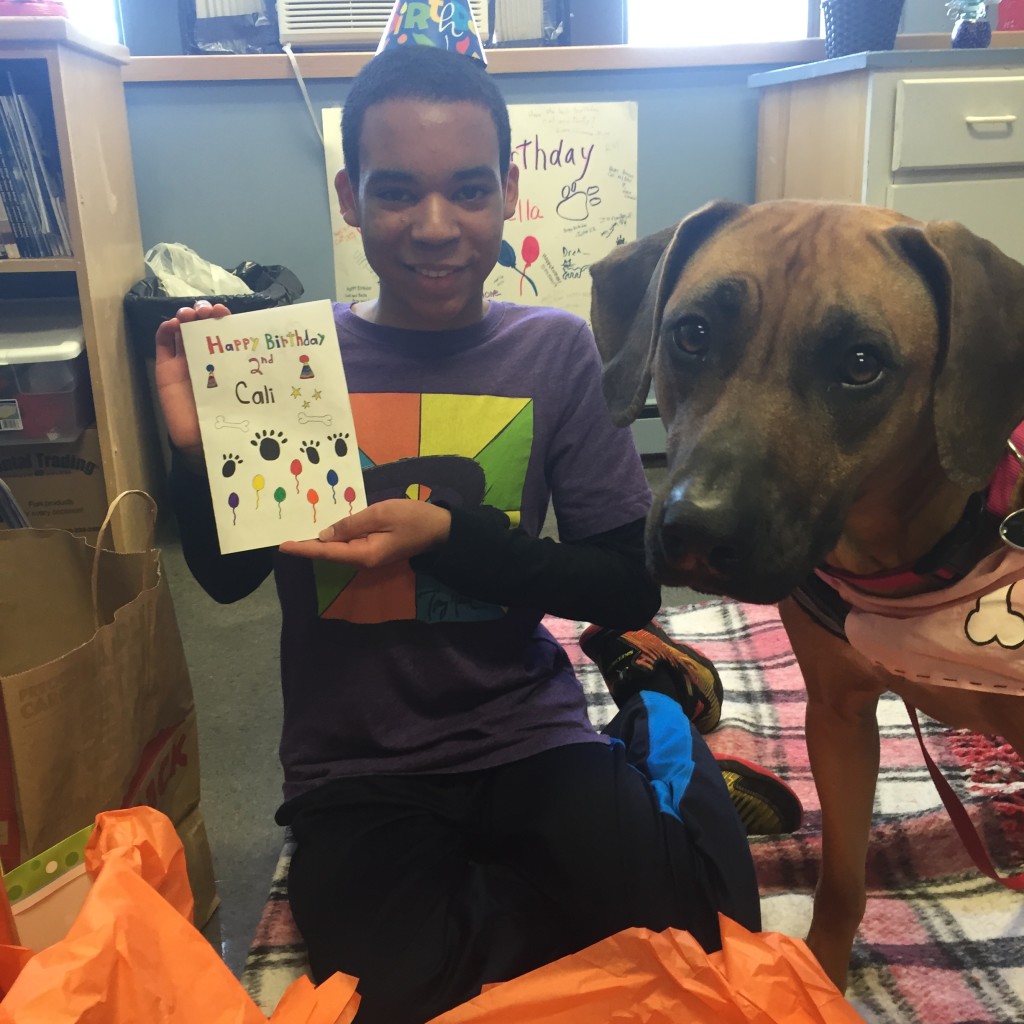 Cali Celebrates Her Second “Pawsome” Birthday! – The Calais School